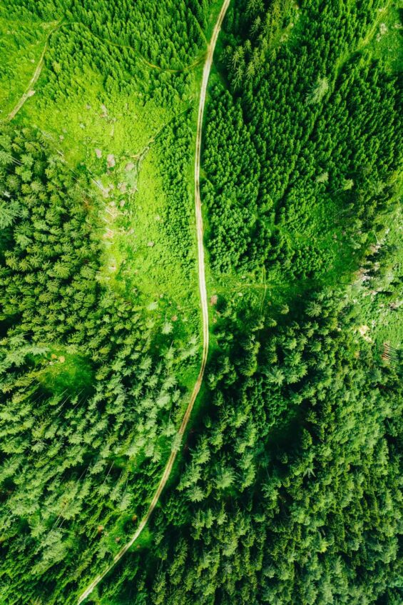 Les atouts du Label Clef Verte pour les hôtels